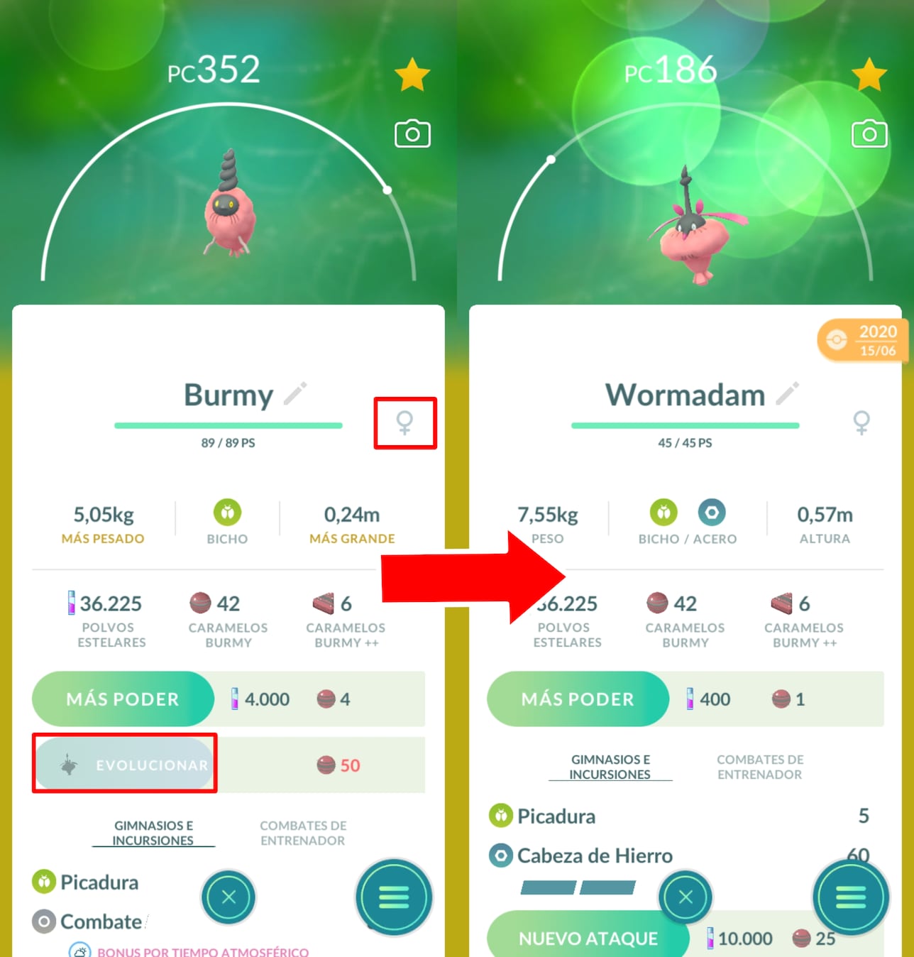 Pokémon GO: cómo elegir si Burmy evoluciona a Wormadam o Mothim ...