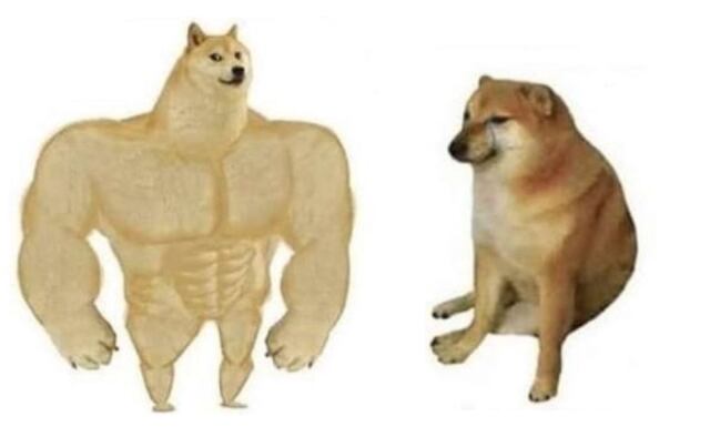 Cheems, the most famous dog on the internet passes away - AS USA