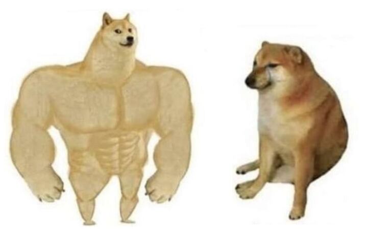 Cheems, the most famous dog on the internet passes away - AS USA