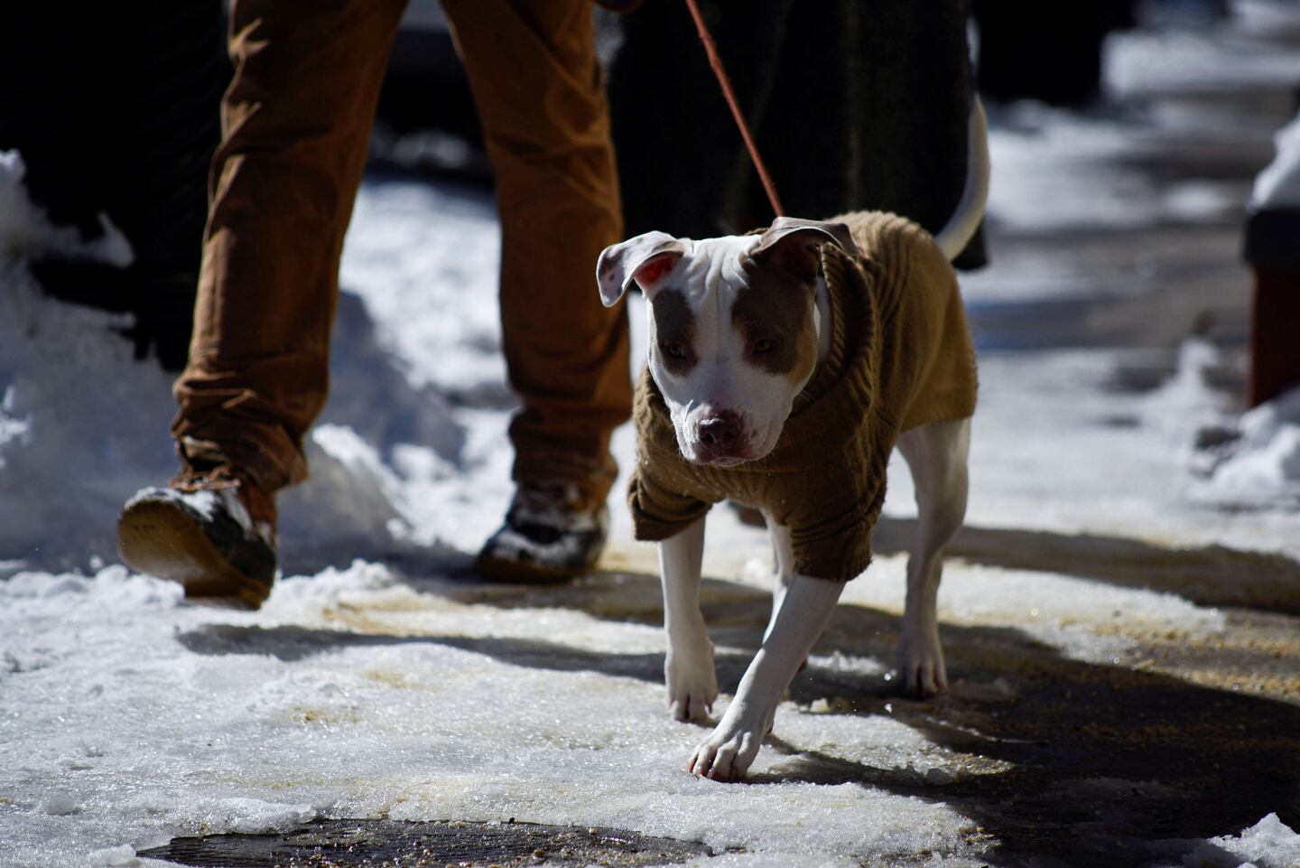 Cold invasion from the north coming: Get your scarf and gloves ...