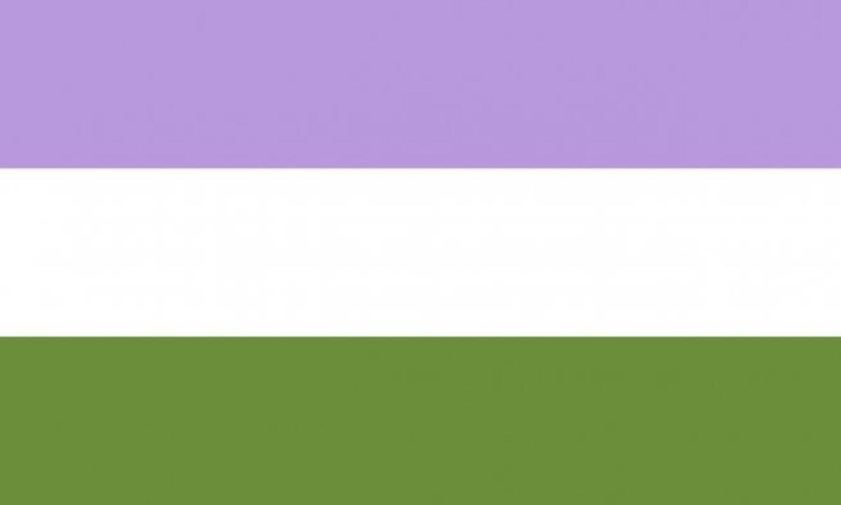 Pride Month 2025: ¿Cuántas banderas LGBTQIA+ hay y qué significa cada ...