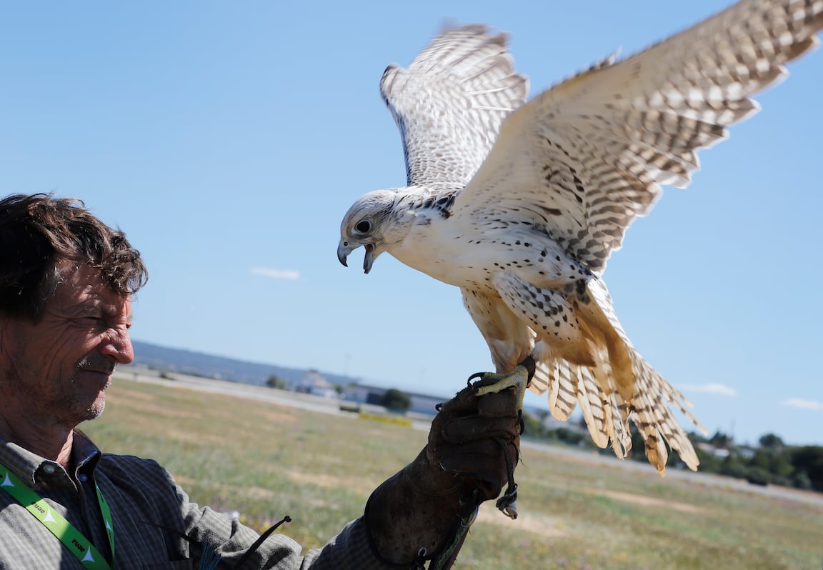 ¿Cuántos conoces? Esta es la lista del Patrimonio Cultural Inmaterial ...