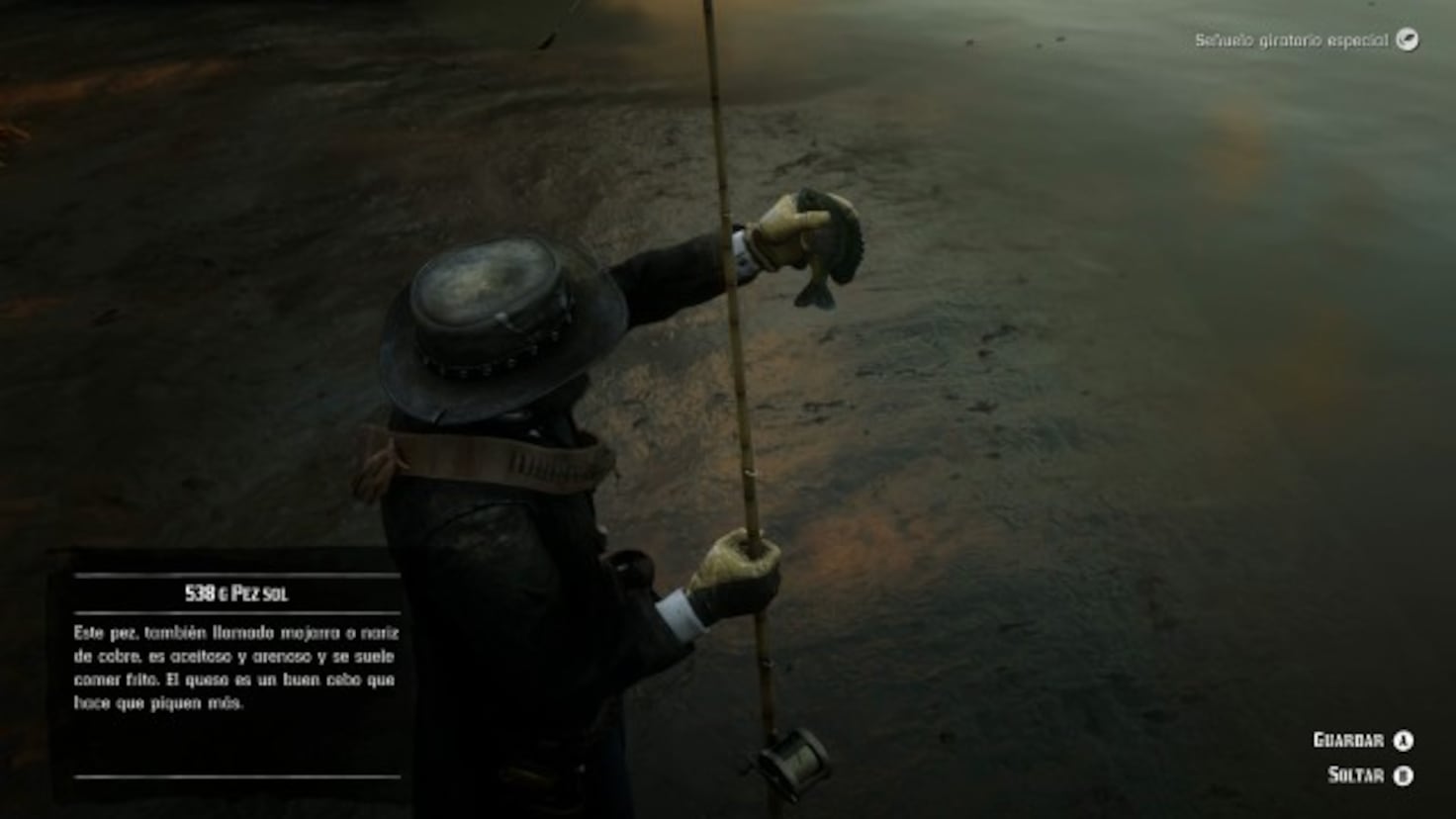 Todos los peces de Red Dead Redemption 2 - Meristation