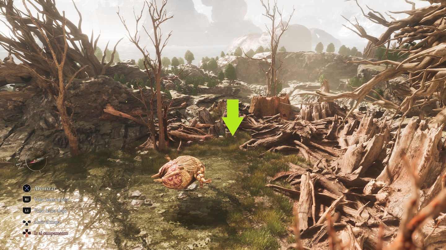 All Lost Gestrals in Clair Obscur: Expedition 33—Maps and Locations ...