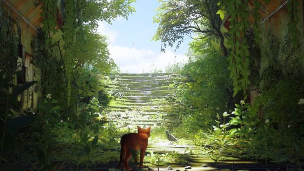 ¿Habrá Stray 2? ¿Cuántos finales tiene Stray? Final explicado - Meristation