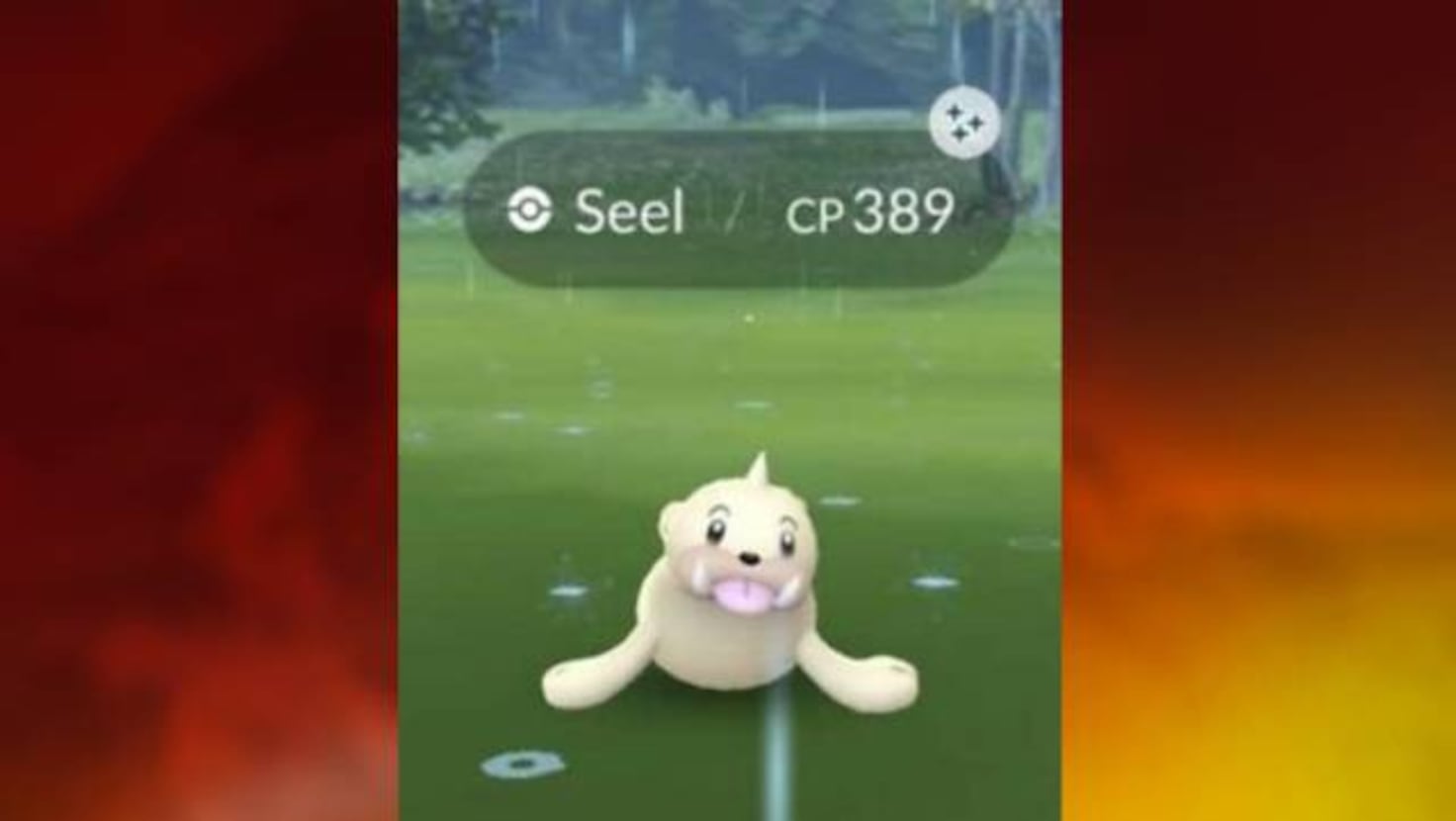 Pokémon GO: Seel variocolor (shiny) llega sin previo aviso - Meristation