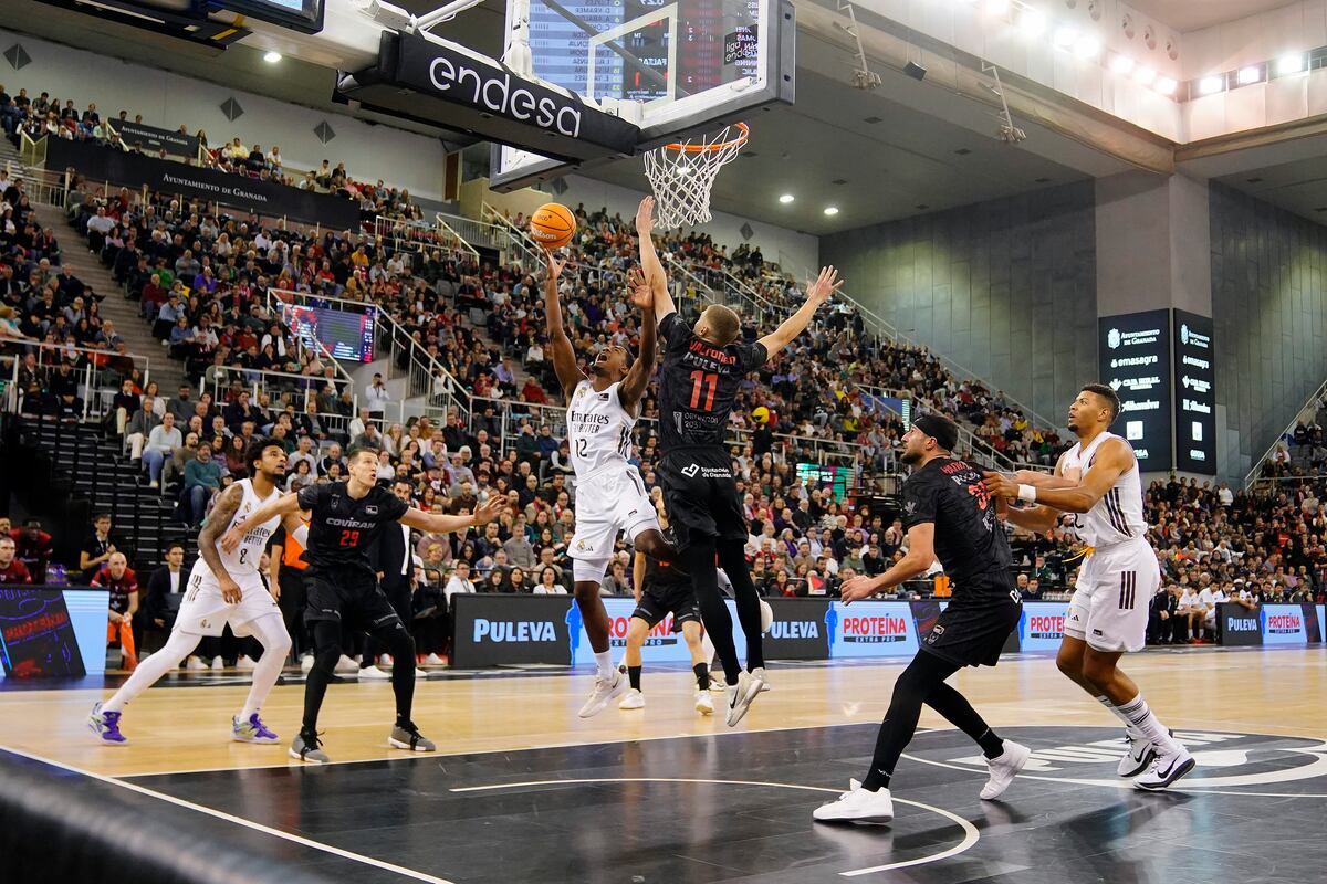 Maledon manda y Hezonja renace - AS.com