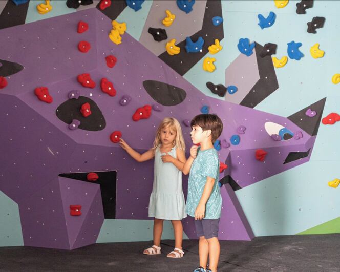 Sharma Climbing Madrid: el rocódromo más grande de España, inaugurado ...