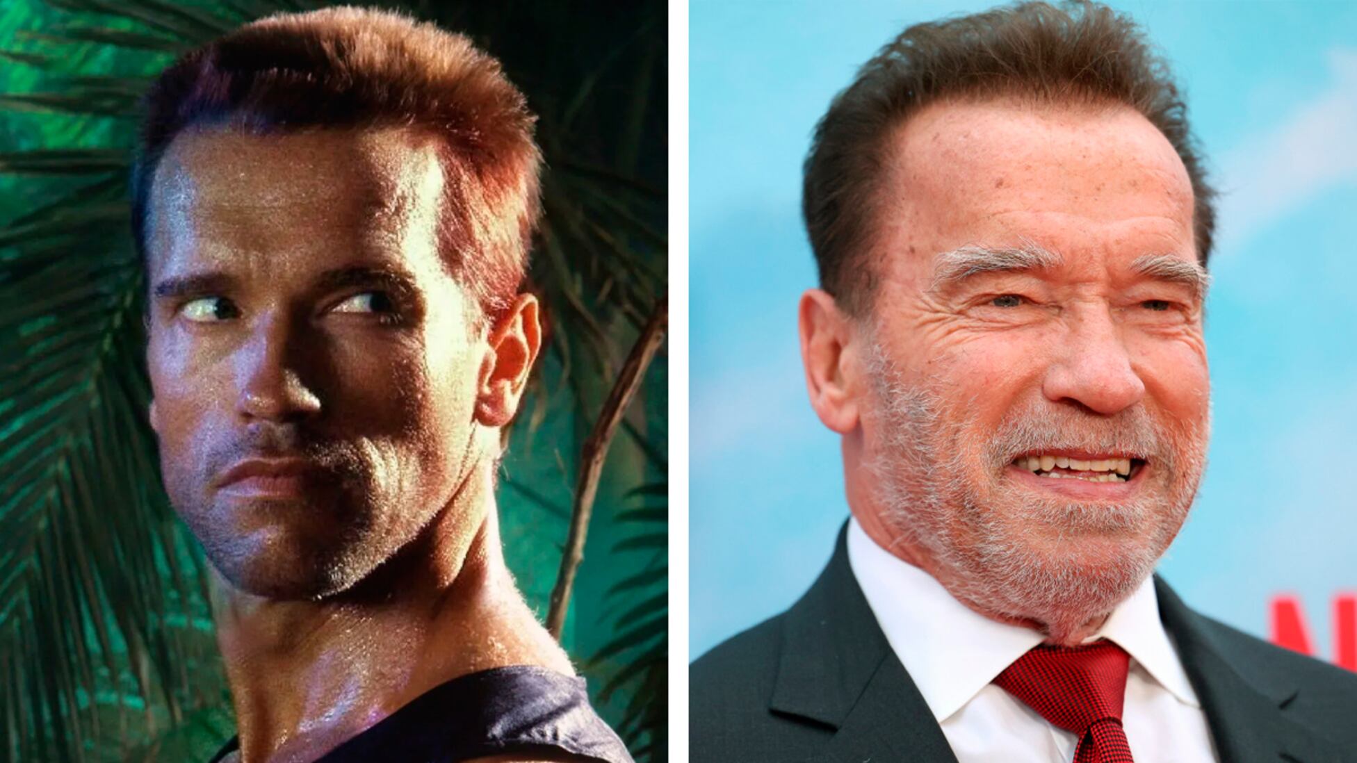 ¿Qué fue de los protagonistas de ‘Depredador’ con Arnold Schwarzenegger ...