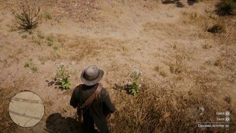 Todas las plantas de Red Dead Redemption 2 - Meristation