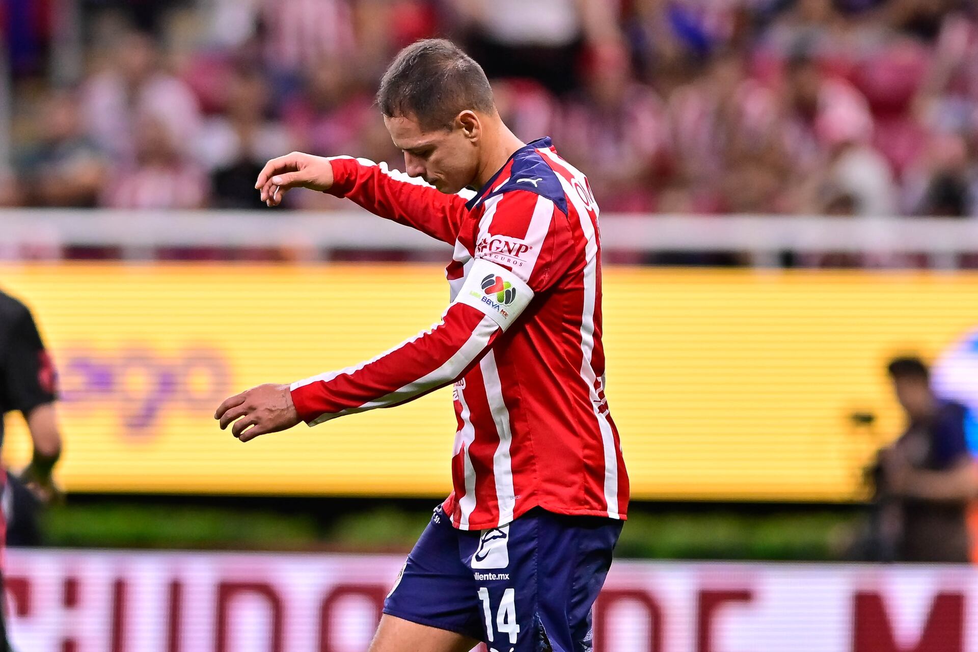 Liga MX: Partidos y resultados de la jornada 9, Apertura 2025 - AS México