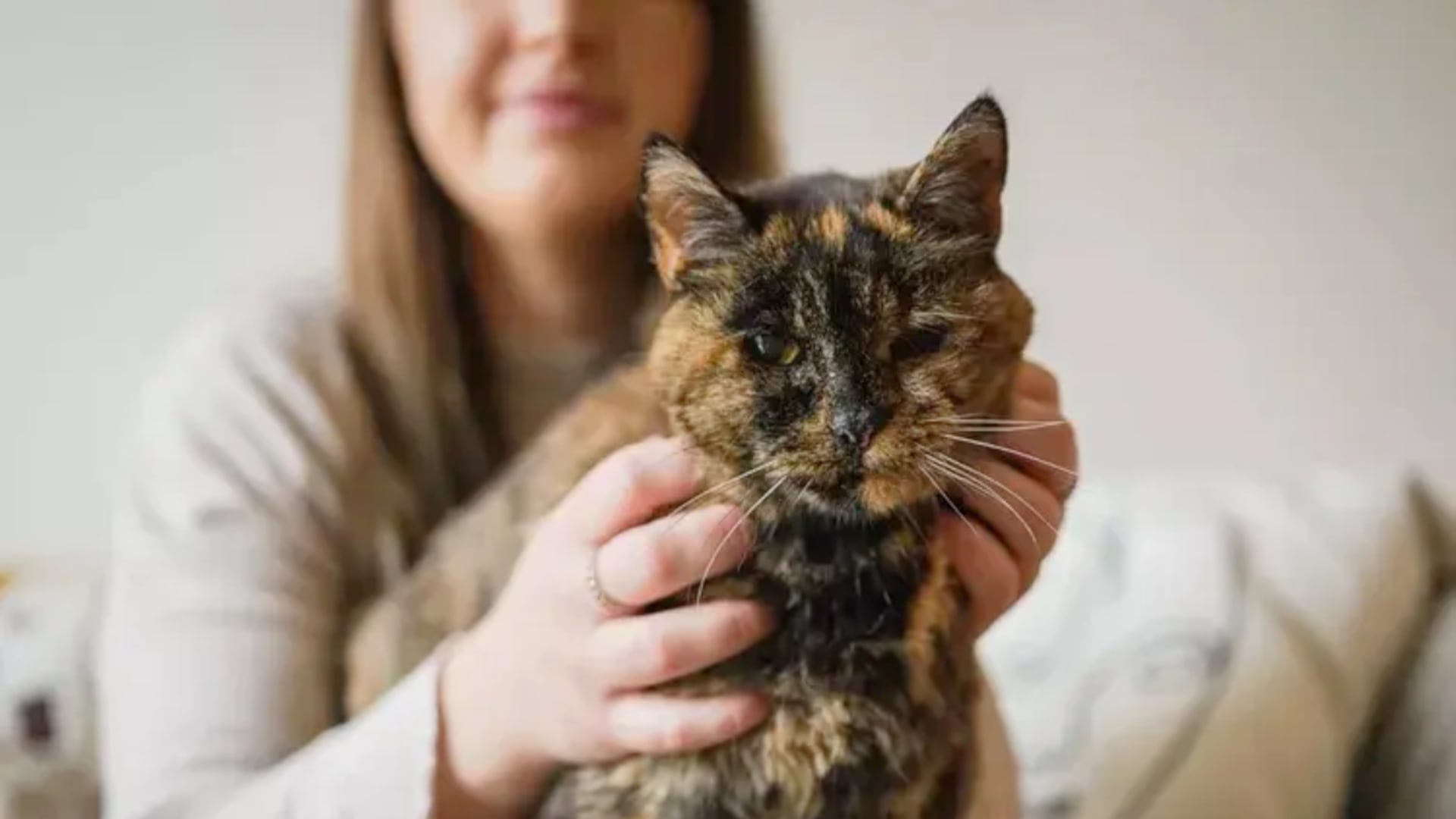 La ciencia dice que es casi imposible, pero este gato es el más viejo ...