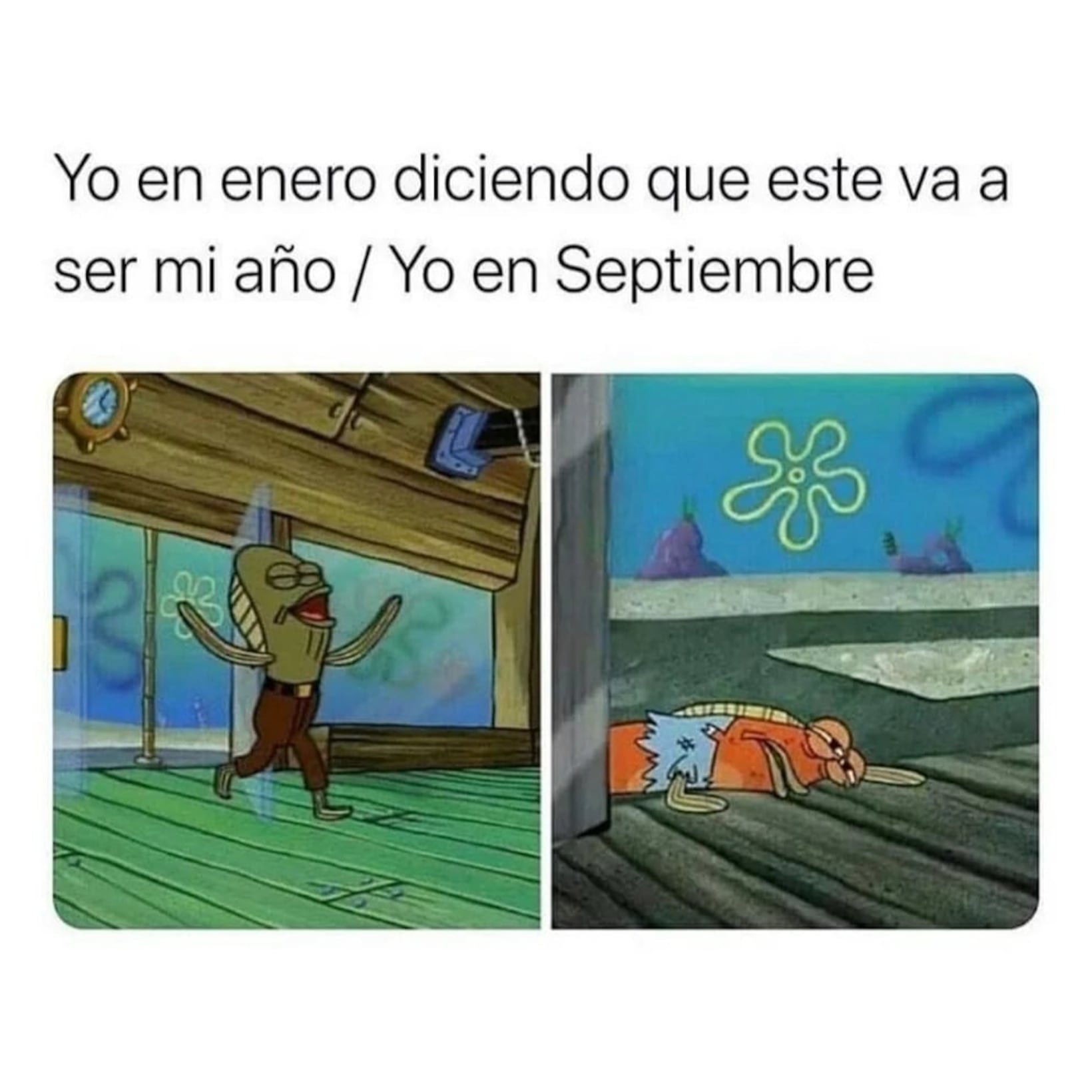 Los mejores memes para enviar por WhatsApp en fin de año - AS.com