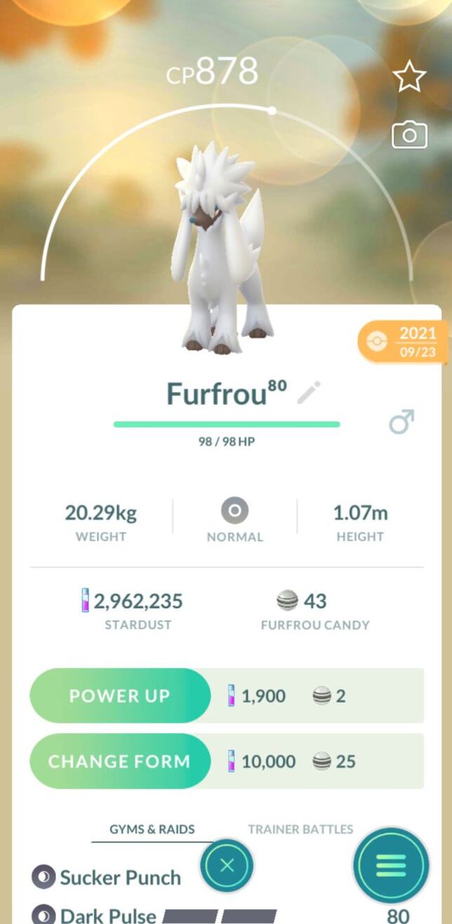 Furfrou in Pokémon GO: all trims and how to make it change its form ...