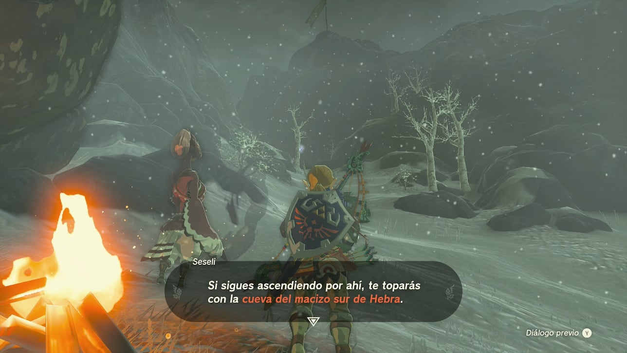 Guía The Legend of Zelda: Tears of the Kingdom | Tureli, en el Poblado ...