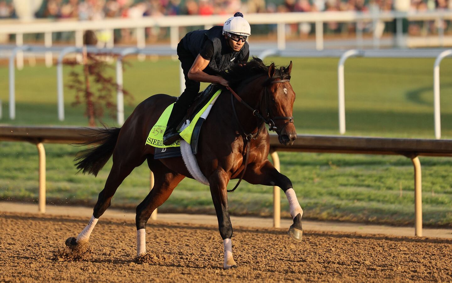 Kentucky Derby 2025: The high stakes price tag of owning a champion ...