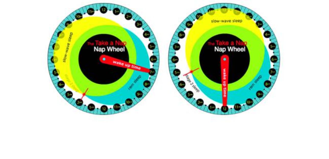 Nap Wheel, la web que te calcula la mejor hora para echarte una siesta ...