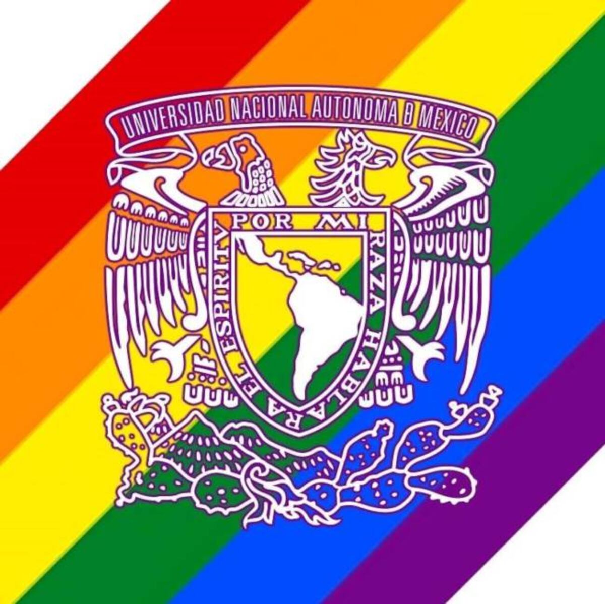 UNAM se pinta con colores de la bandera LGBT y crea polémica - AS México