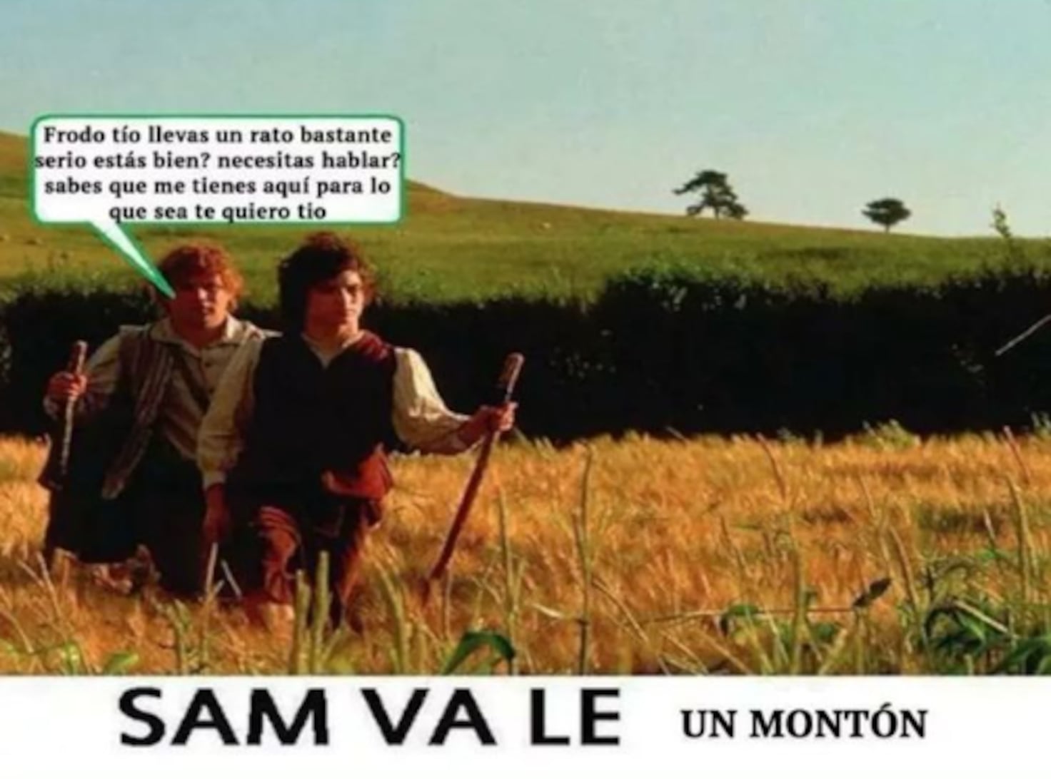 Los mejores memes de Sam va lentín - Meristation