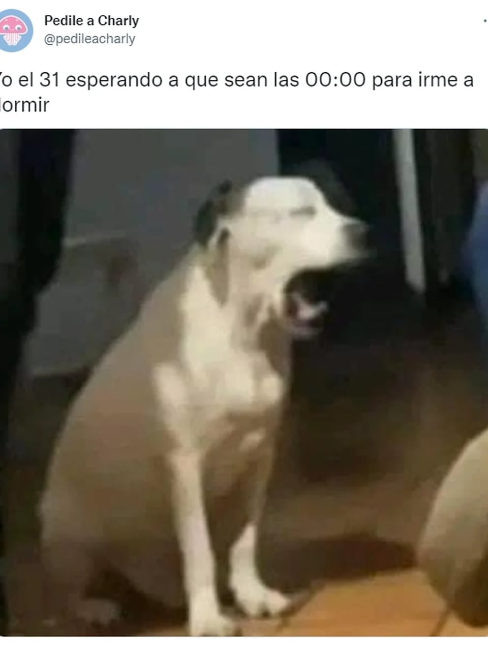 Los mejores memes para enviar por WhatsApp en fin de año - AS.com