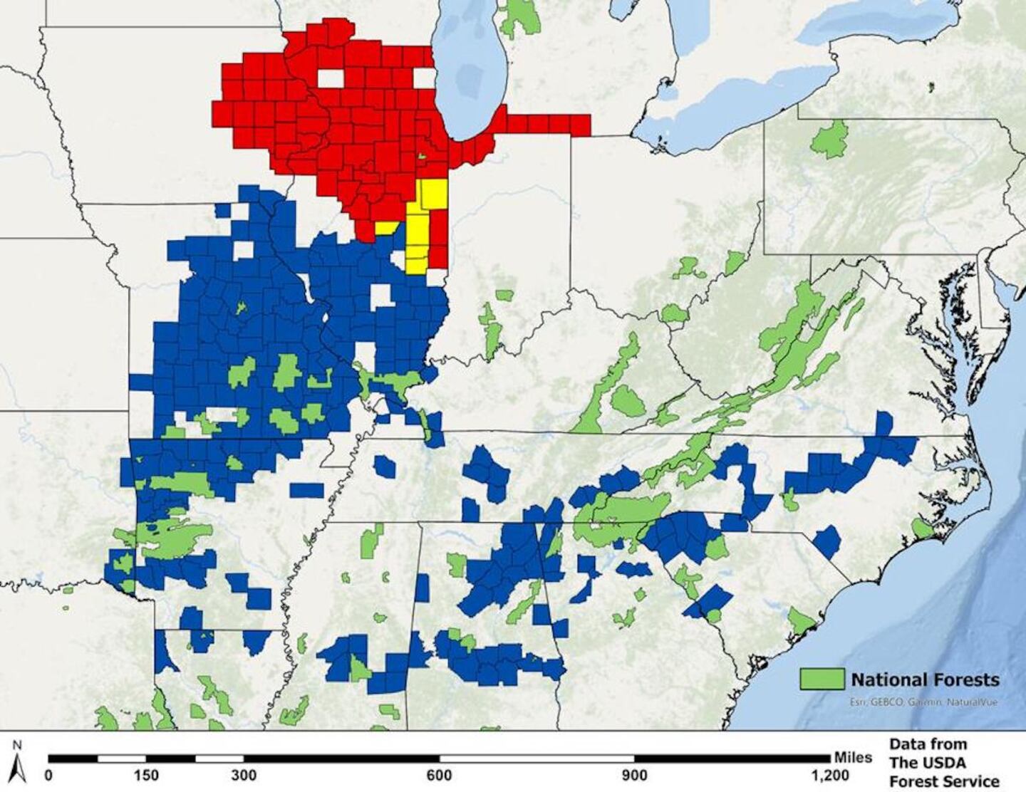 2024 Cicada map in the United States: Where are Broods XIII and XIX ...