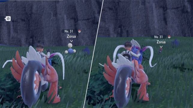 Where to find Zorua and Zoroark in Pokémon Scarlet & Violet and how to ...