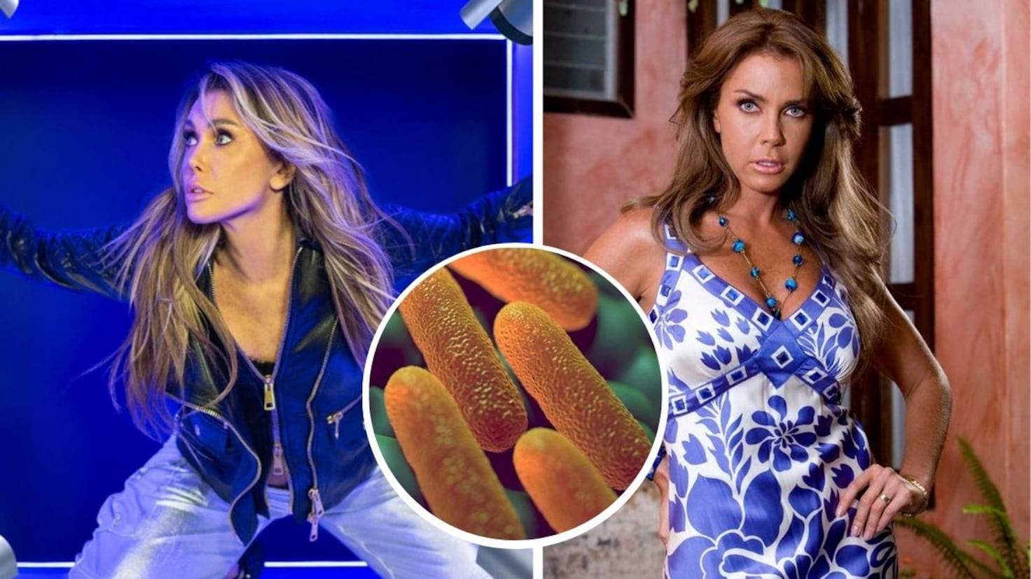 Salmonella: qué es, síntomas y cómo se contagia la enfermedad que tiene ... Salmonella: qué es, síntomas y cómo se contagia la enfermedad que tiene ...