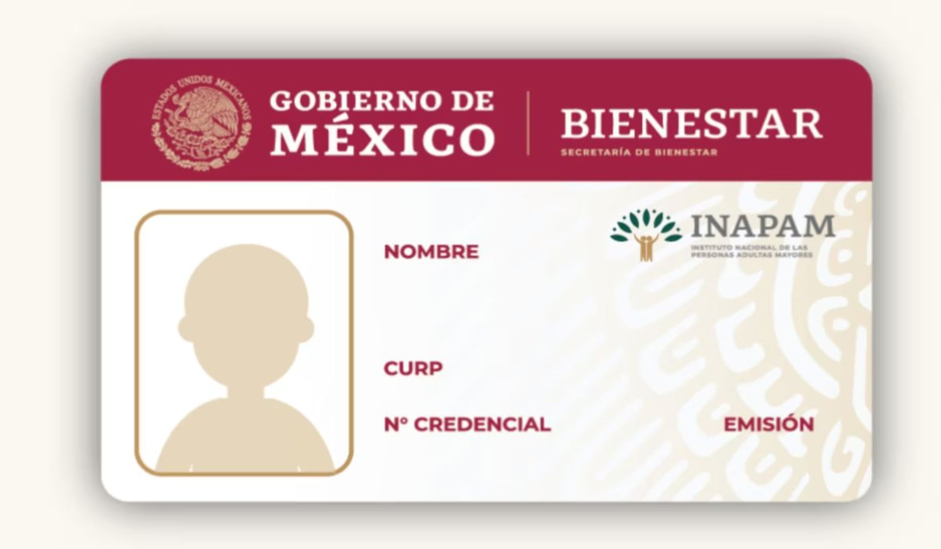 Revelan la edad a partir de la cuál se puede tramitar la credencial ...