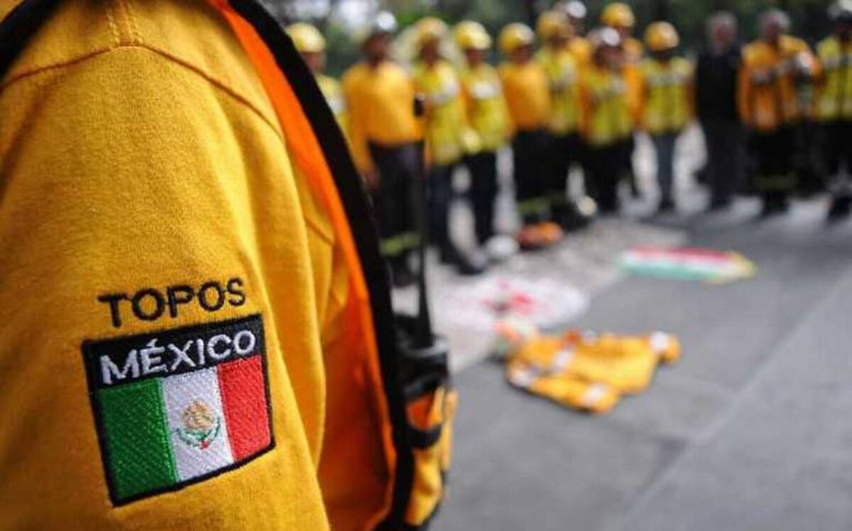 ¿Qué fue de los Topos que surgieron en el sismo del 1985? - AS México